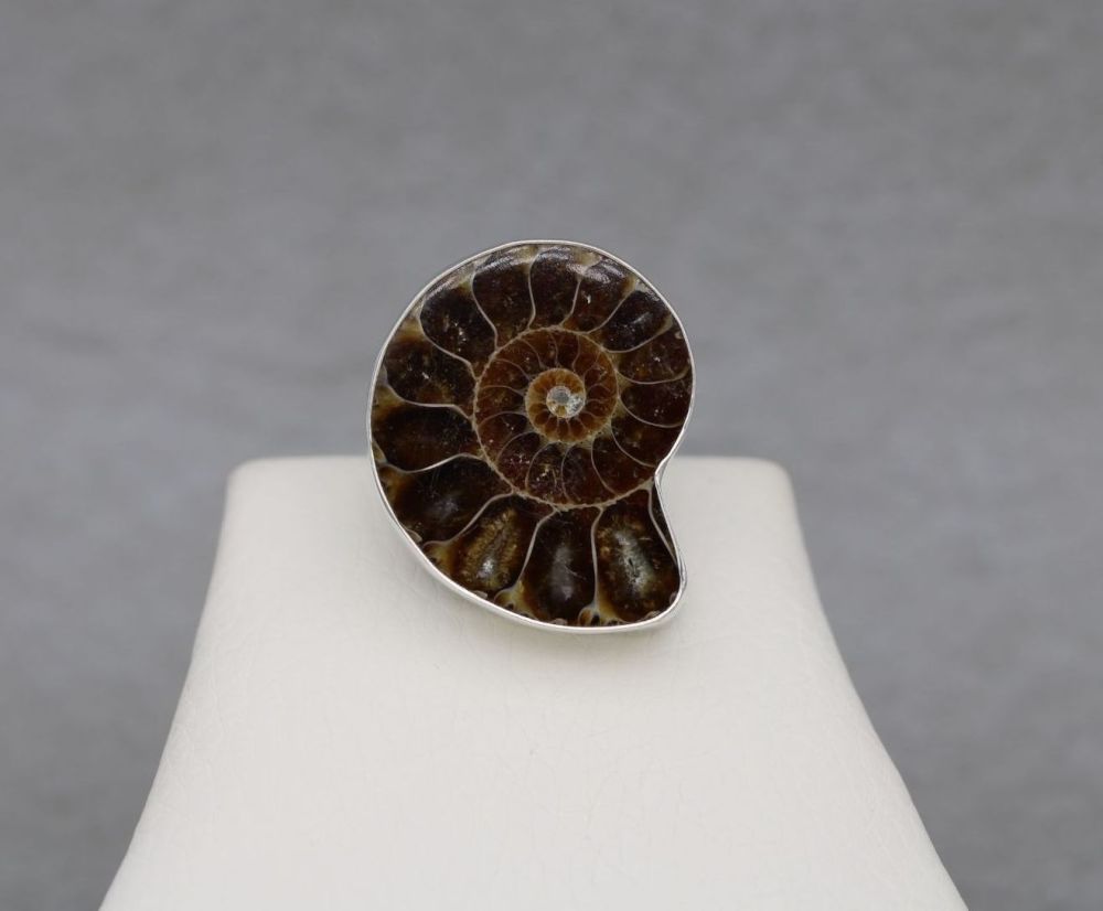 NEW Bold sterling silver & ammonite fossil ring