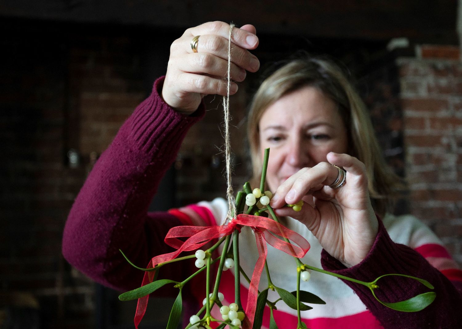 Buy fresh English mistletoe direct from our farm to your door from ...
