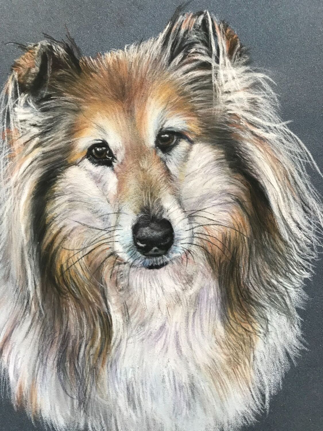 Pet Portraits from photos: celebrate your love for your fur babies with ...