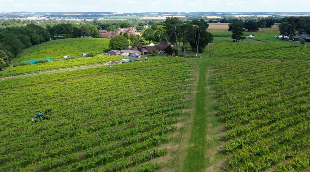 Brightwell Vineyard | English Wine, Sparkling and Brandy from Oxfordshire