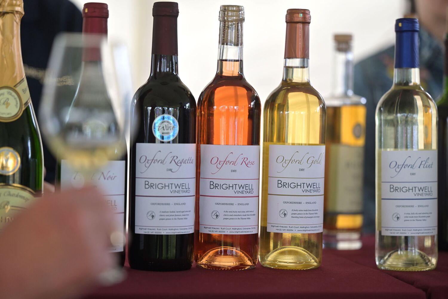 Brightwell Vineyard | English Wine, Sparkling and Brandy from Oxfordshire