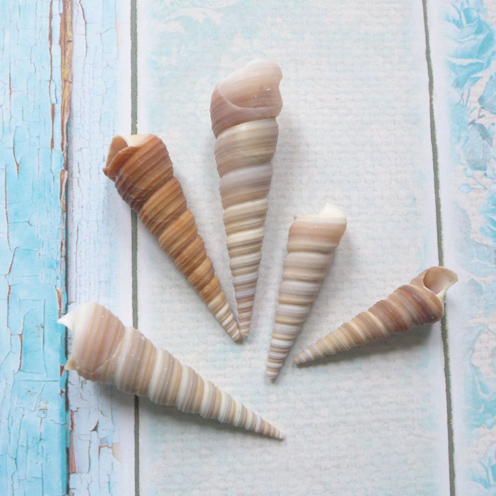 Sea themed - Shop | Online Retailer | Artful Days