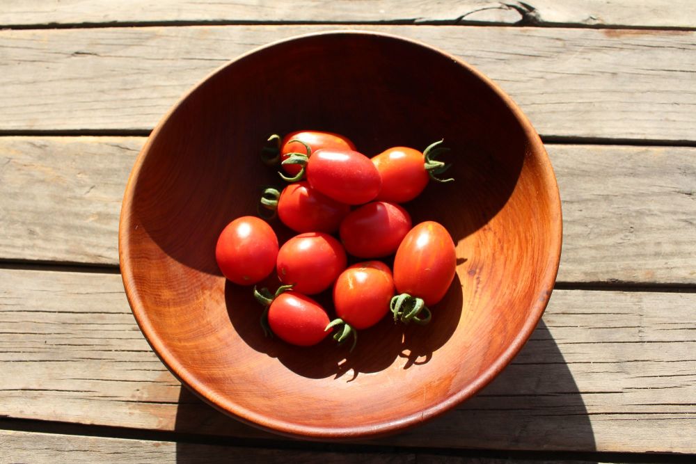 Tomato - Whippersnapper
