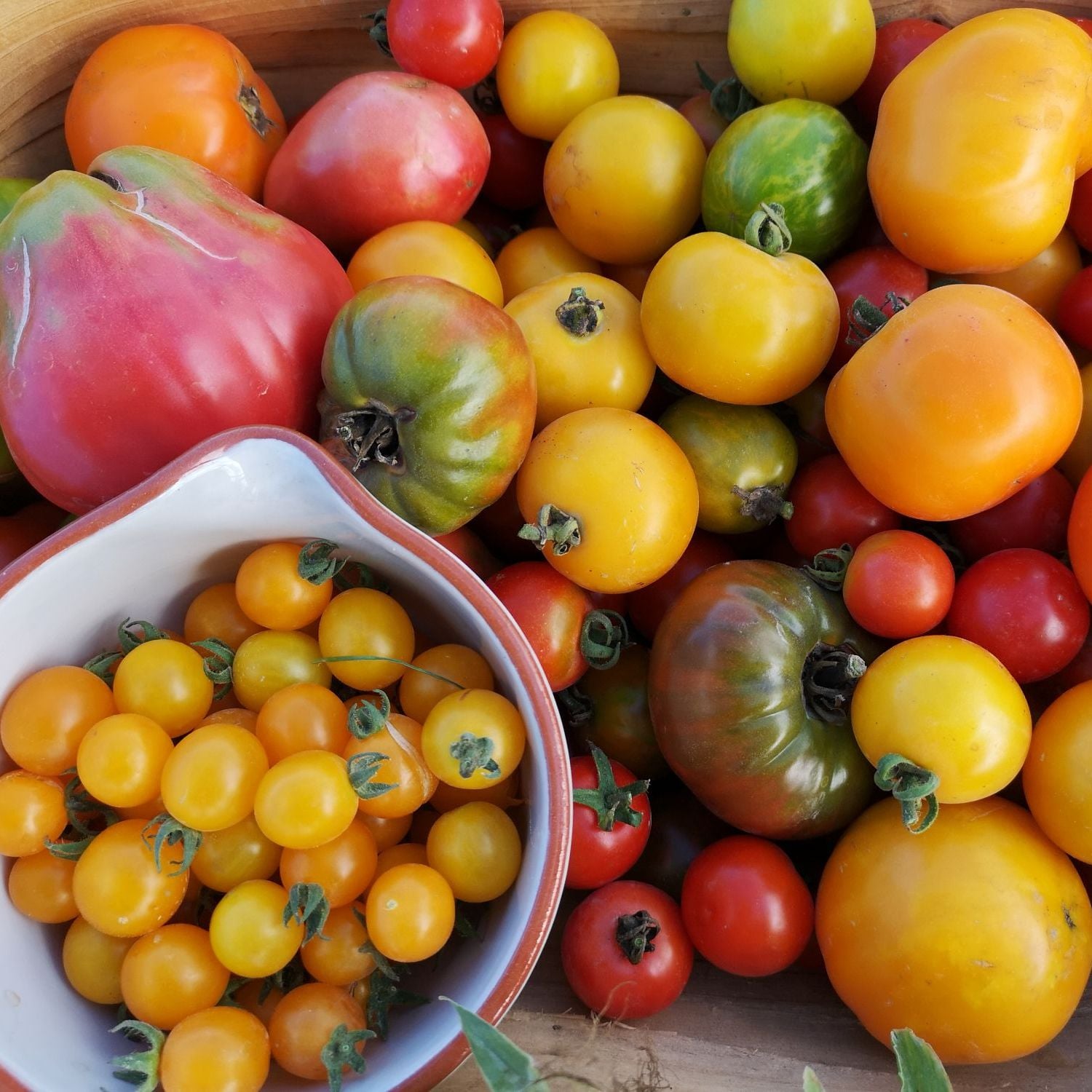 Garden Packs - Buy Seeds Online