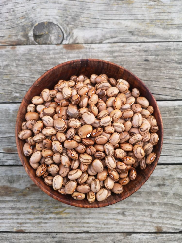 Bean - Bob's