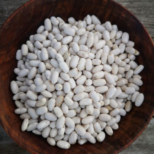 Beans - Buy Seeds Online