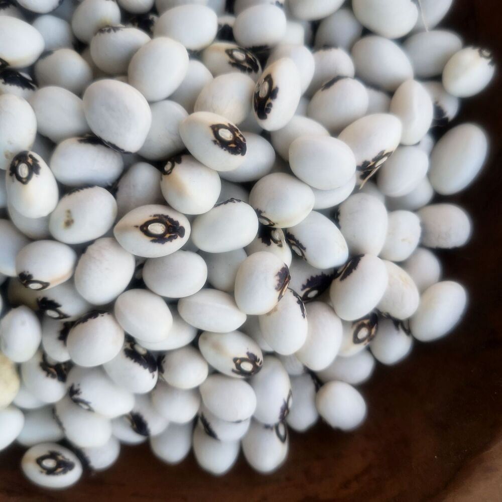 Beans - Buy Seeds Online