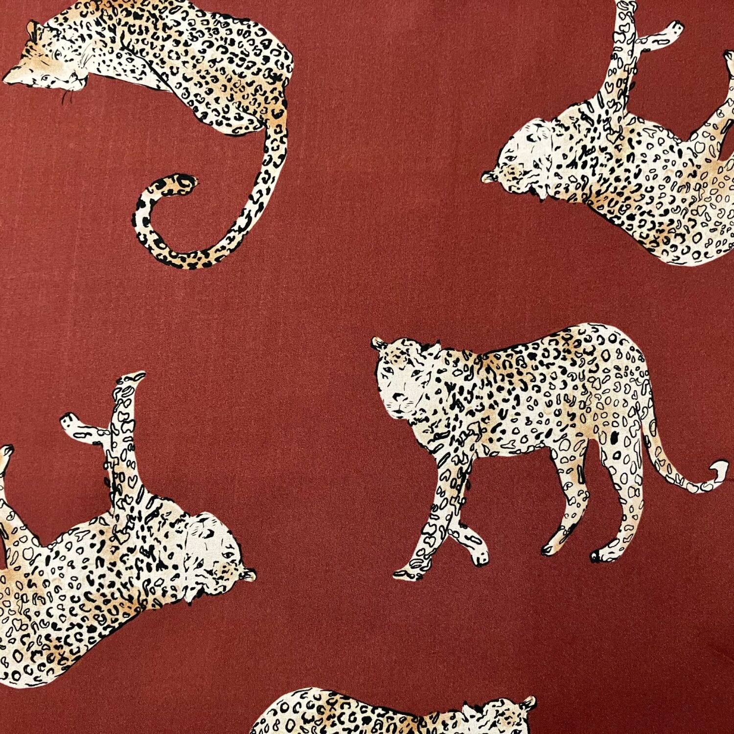 New in-Latest Fabrics -Flo-Jo Fabrics