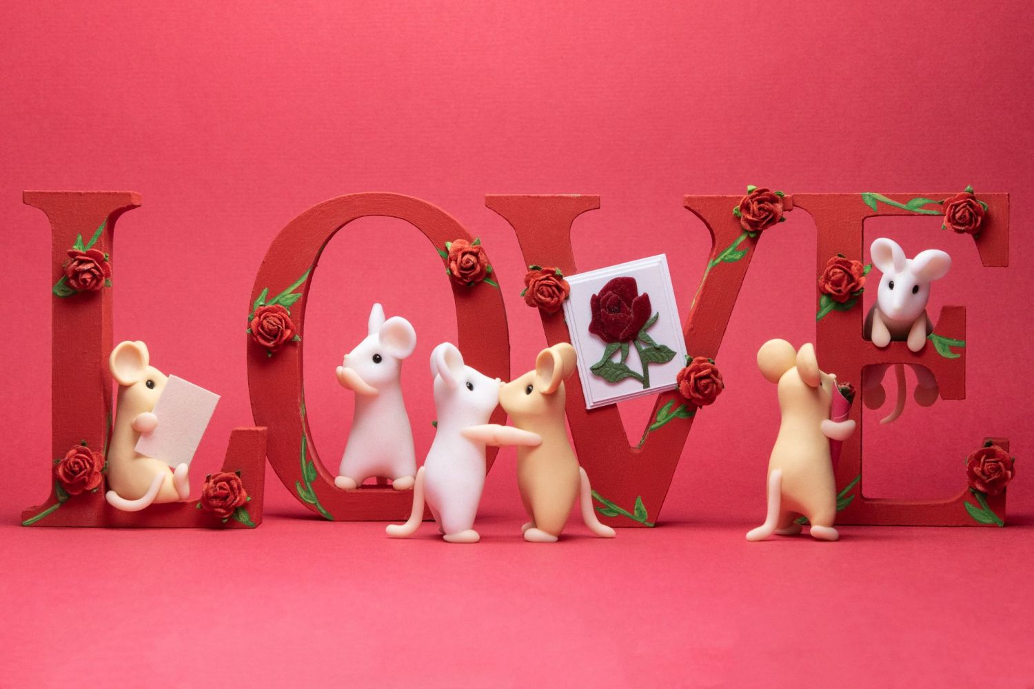 Squeak Show Project 2021/22