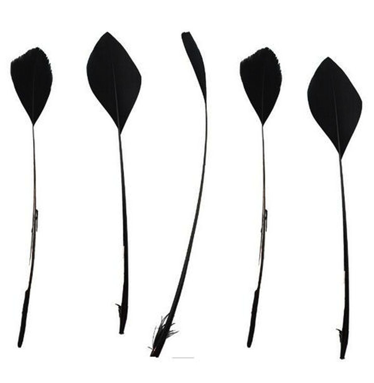 Black Feathers Tear Drop Coque Millinery | Feather Planet