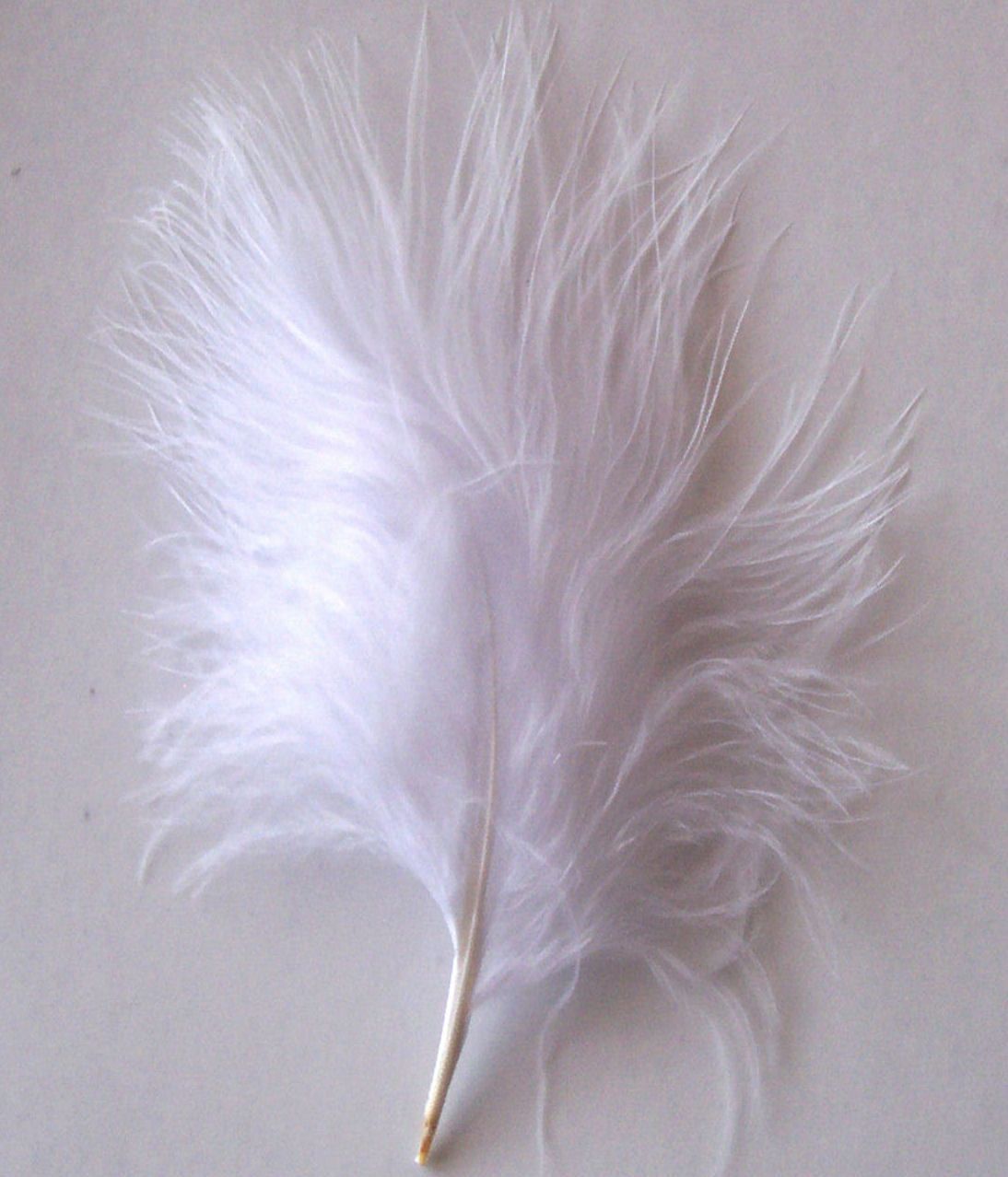 White Feathers | Large Marabou | Feather Planet