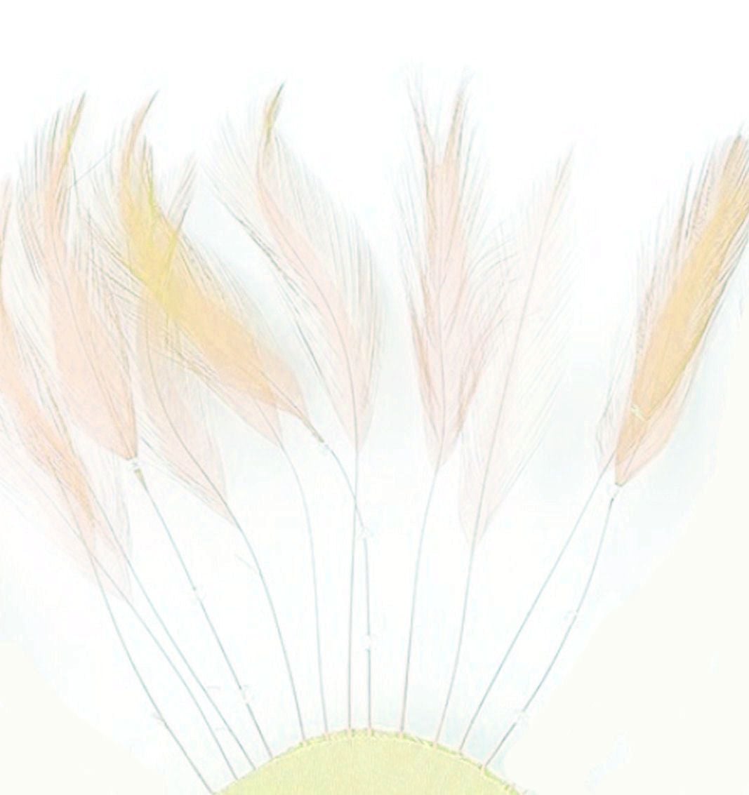 Cream Hackle Feathers | Trimmed Millinery | Feather Planet