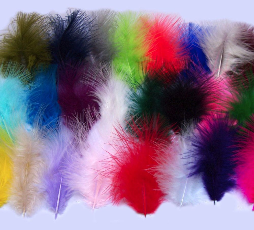 Feathers For Sale | Feather Products | Feather Planet