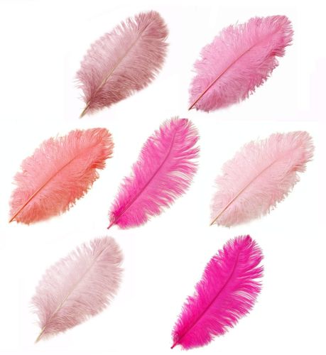 Ostrich Feathers | Large Feather | Feather Planet