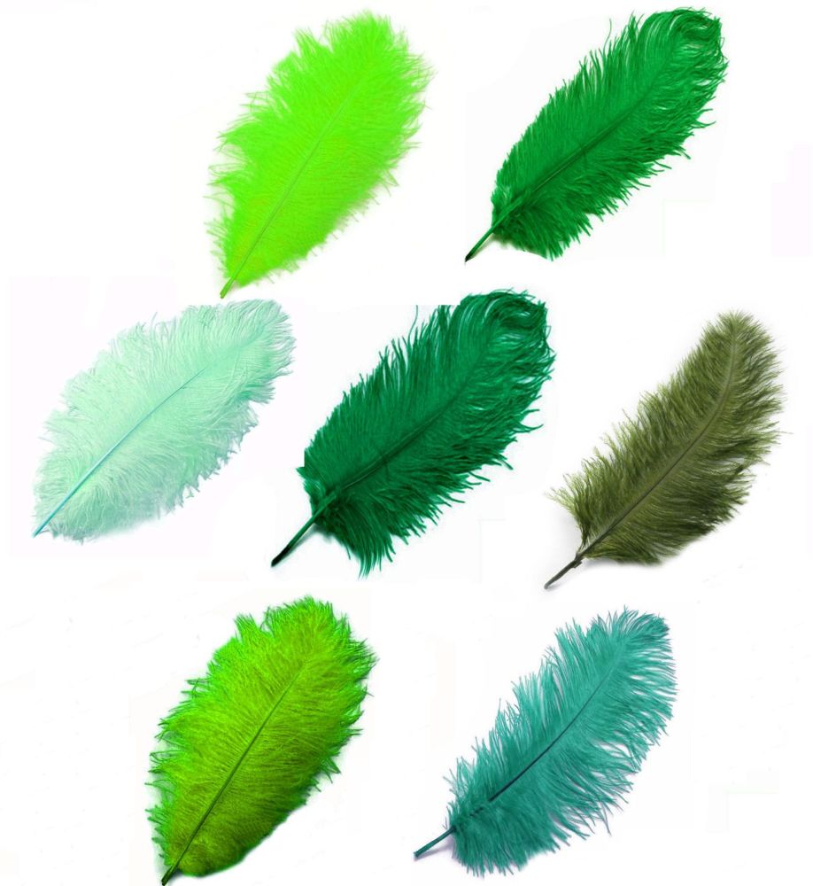 Ostrich Feathers | Large Feather | Feather Planet