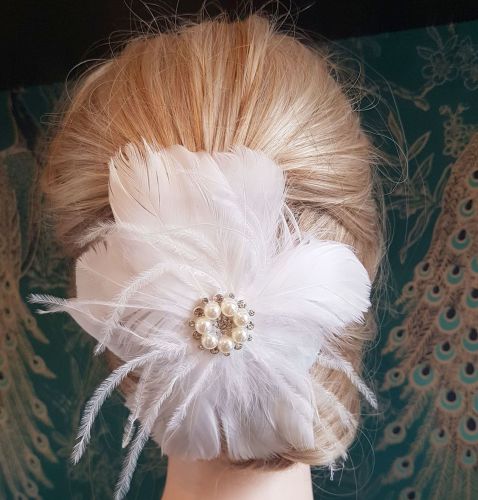 Feathers For Sale | Feather Products | Feather Planet