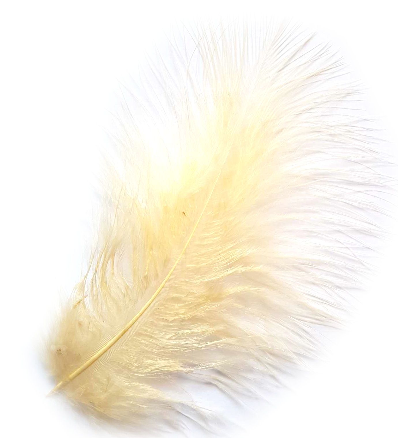 Large Eggshell Marabou Feathers | Feather Planet
