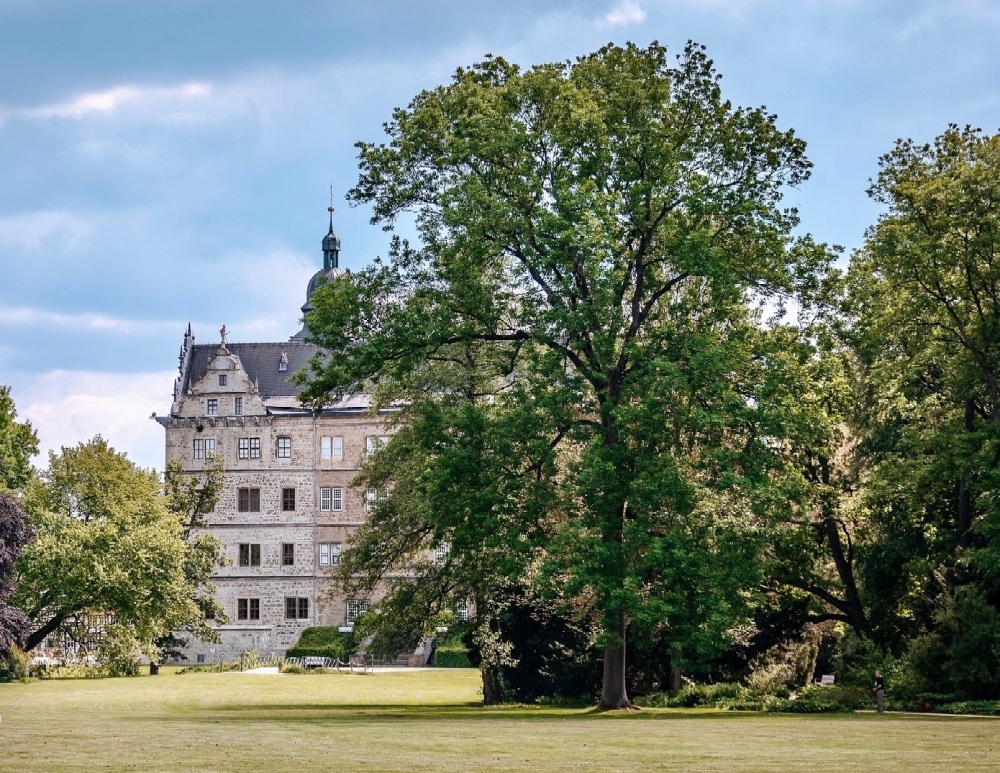 How to Throw The Perfect Masquerade Ball