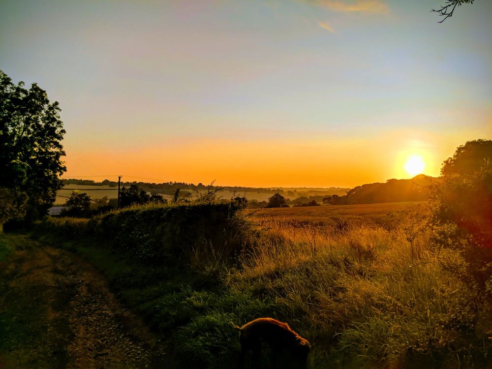 Welcome To Wing Hall Estate