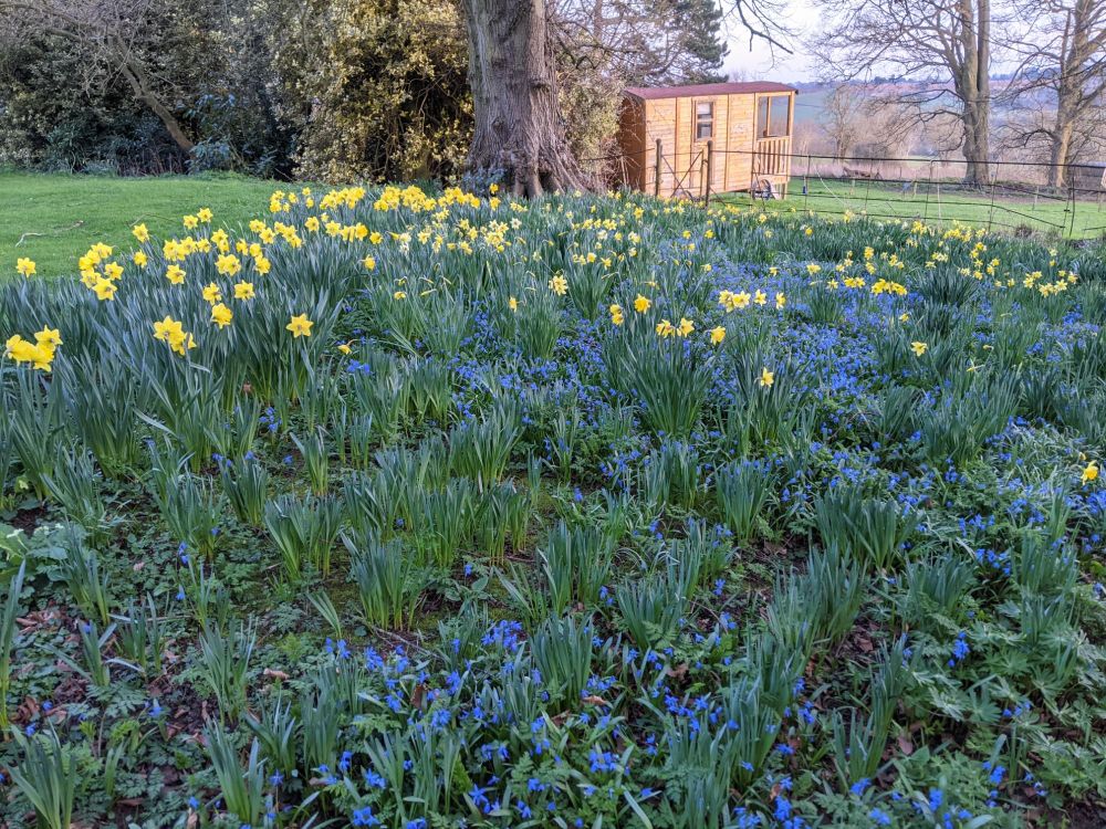 Welcome To Wing Hall Estate