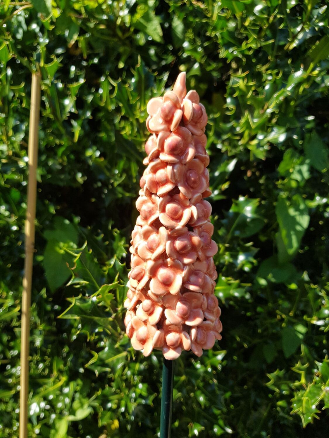 Ceramic Flower Spike in Salmon Pink.