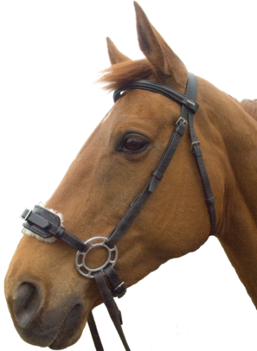 Welcome To Orbitless Bridle