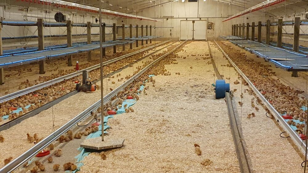Home [wheatcroftpoultry.co.uk]