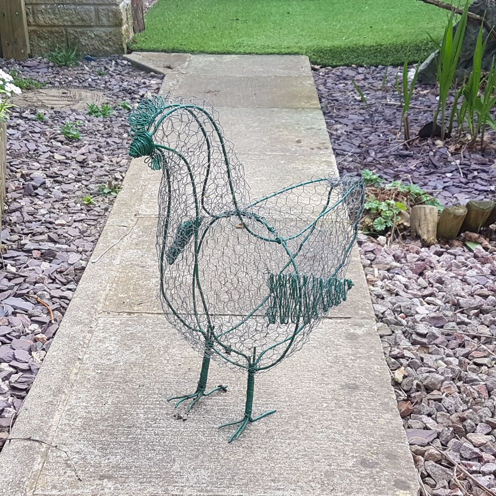 Chicken Wire