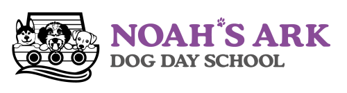 Welcome to Noahs Ark Day School