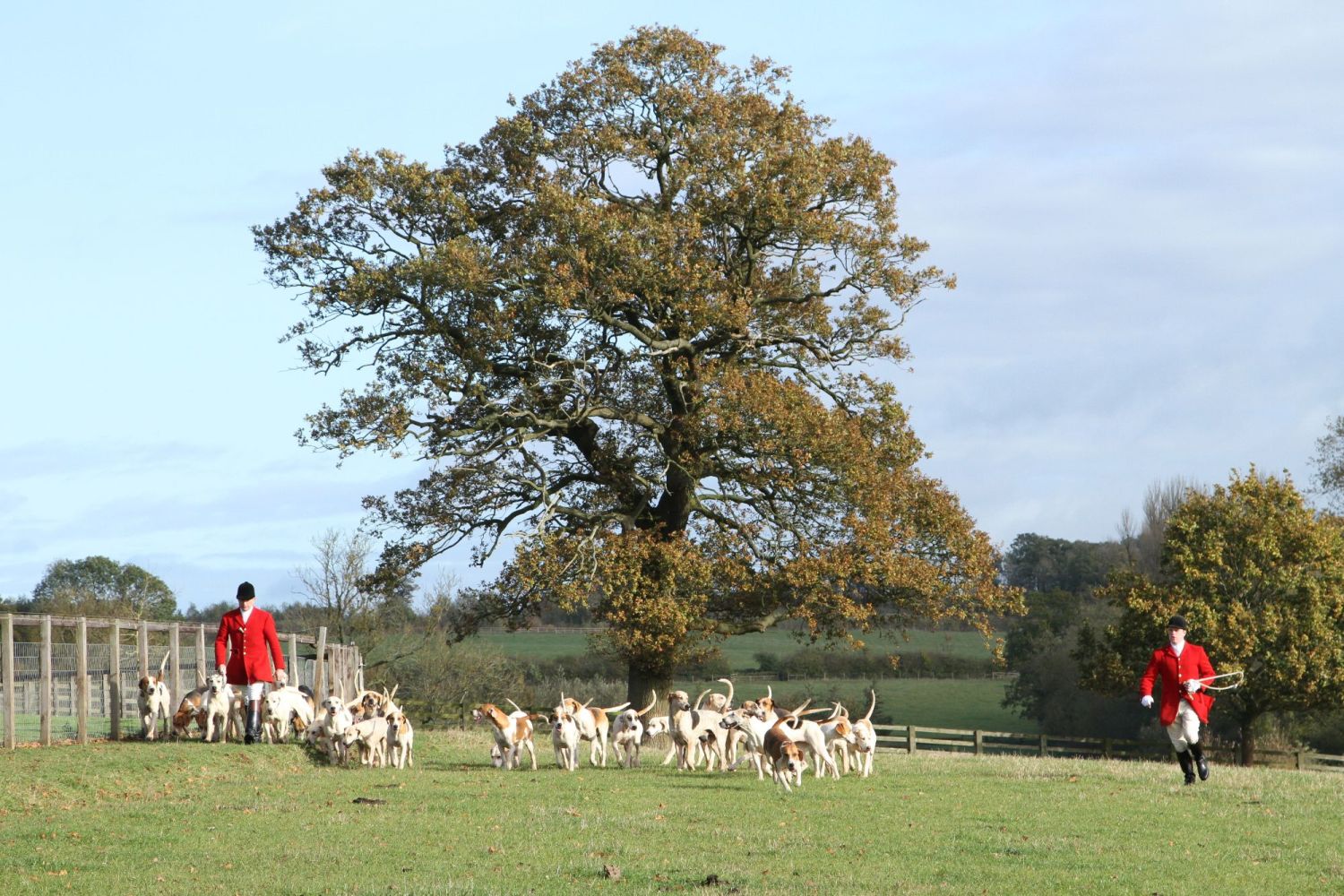Welcome To The Grafton Hunt