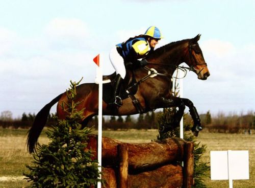 Sarah Lee - Competition Rider