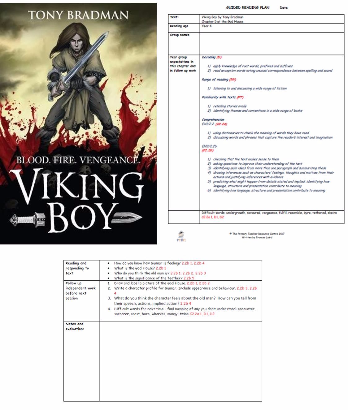 Guided Reading Plans - Viking Boy