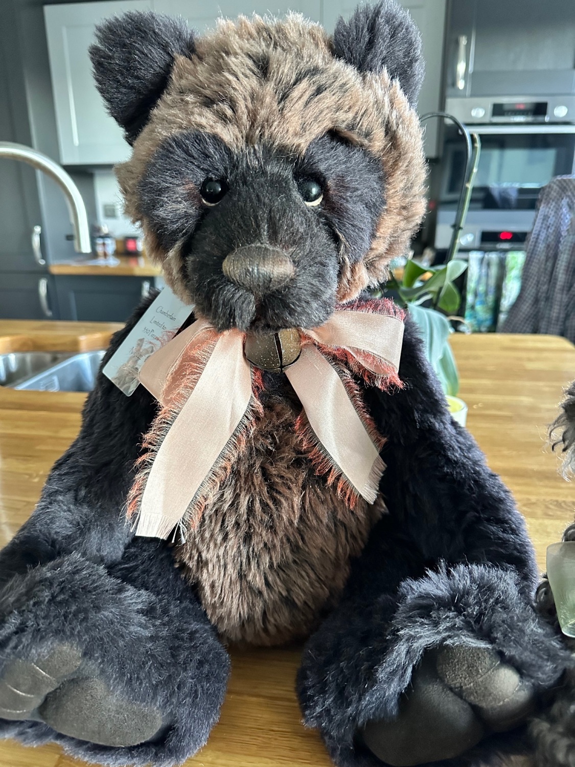 Mohair Charlie Bears - Adoption Agency. Buy your bear here