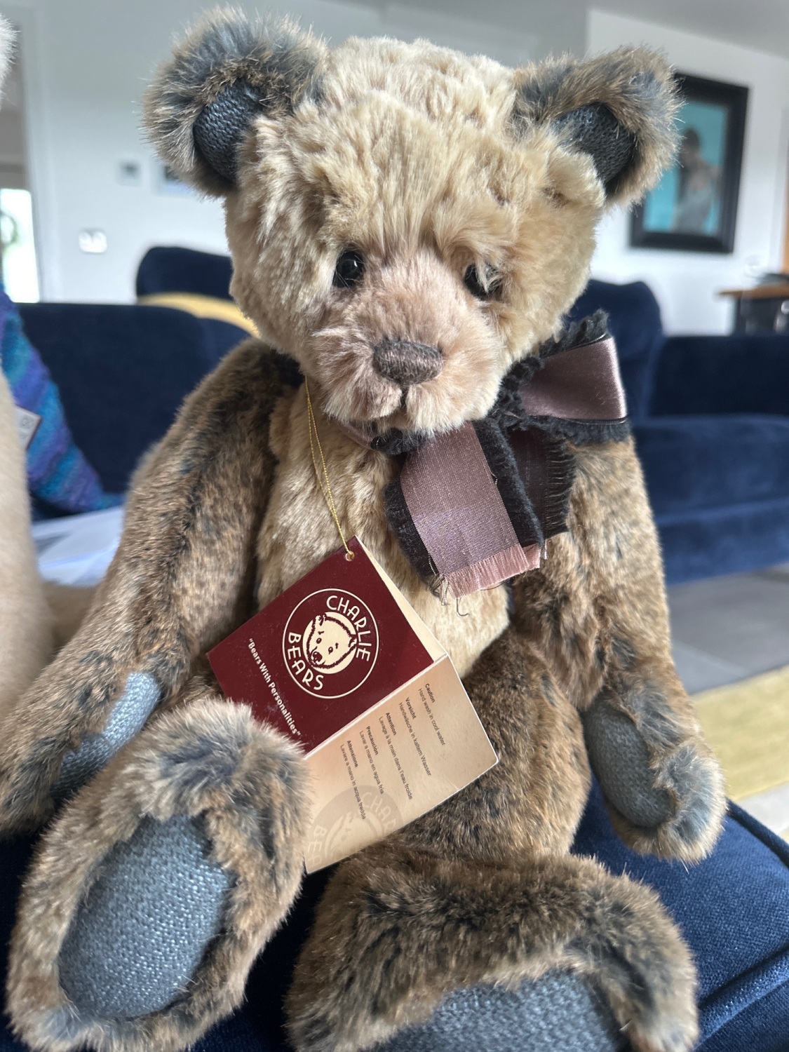 Charlie Bears Retired - Adoption Agency. Buy your bear here