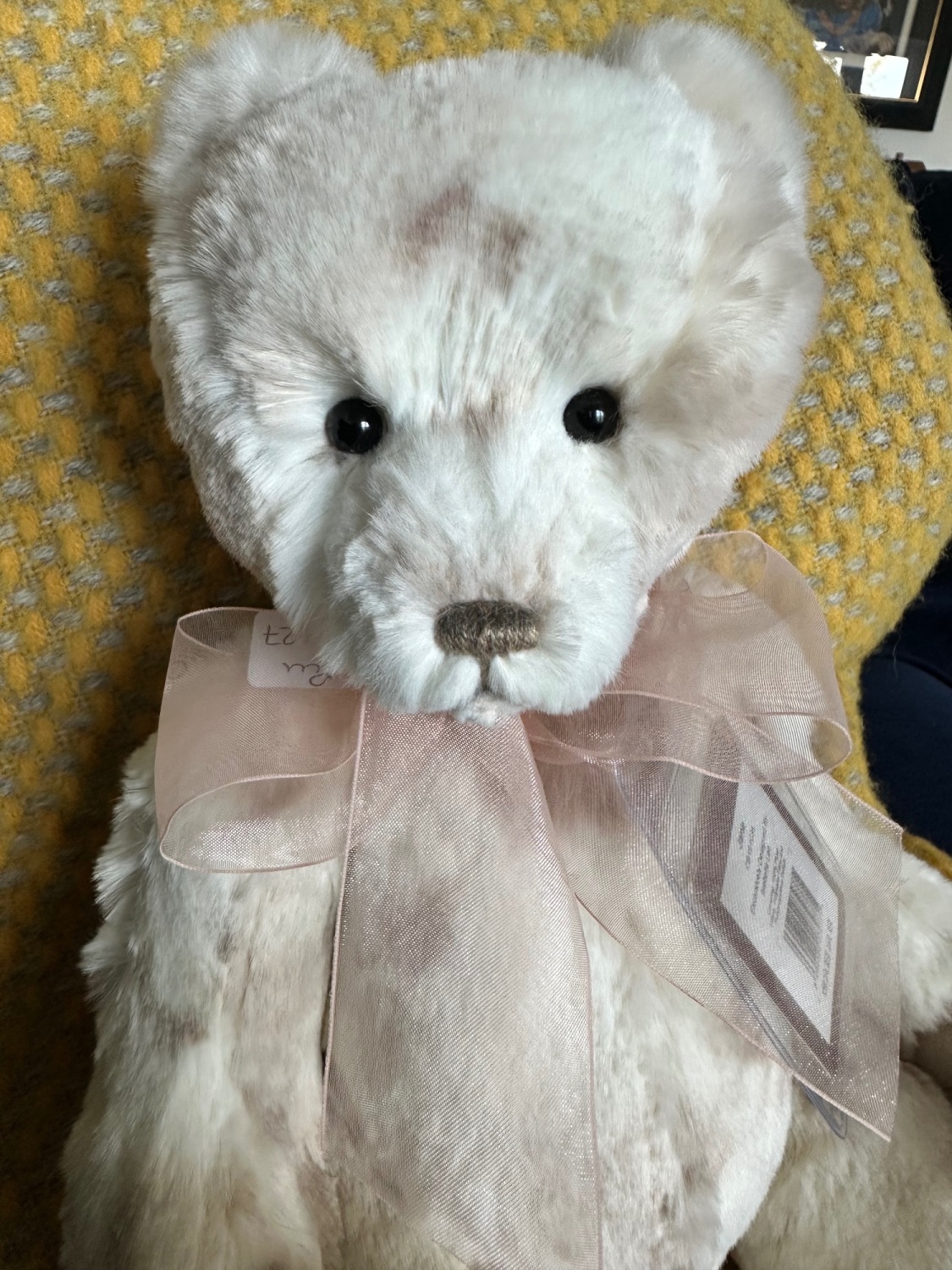 Charlie Bears Retired - Adoption Agency. Buy your bear here - Page 3