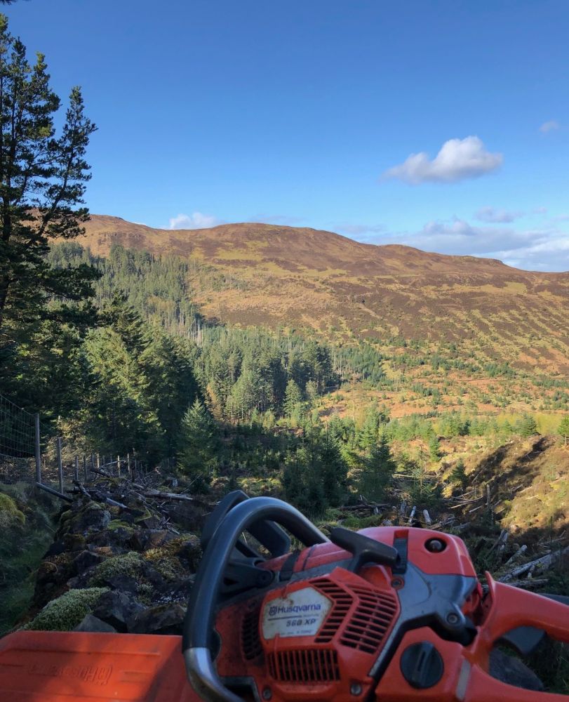 Tree surgeons, forestry management and ground works