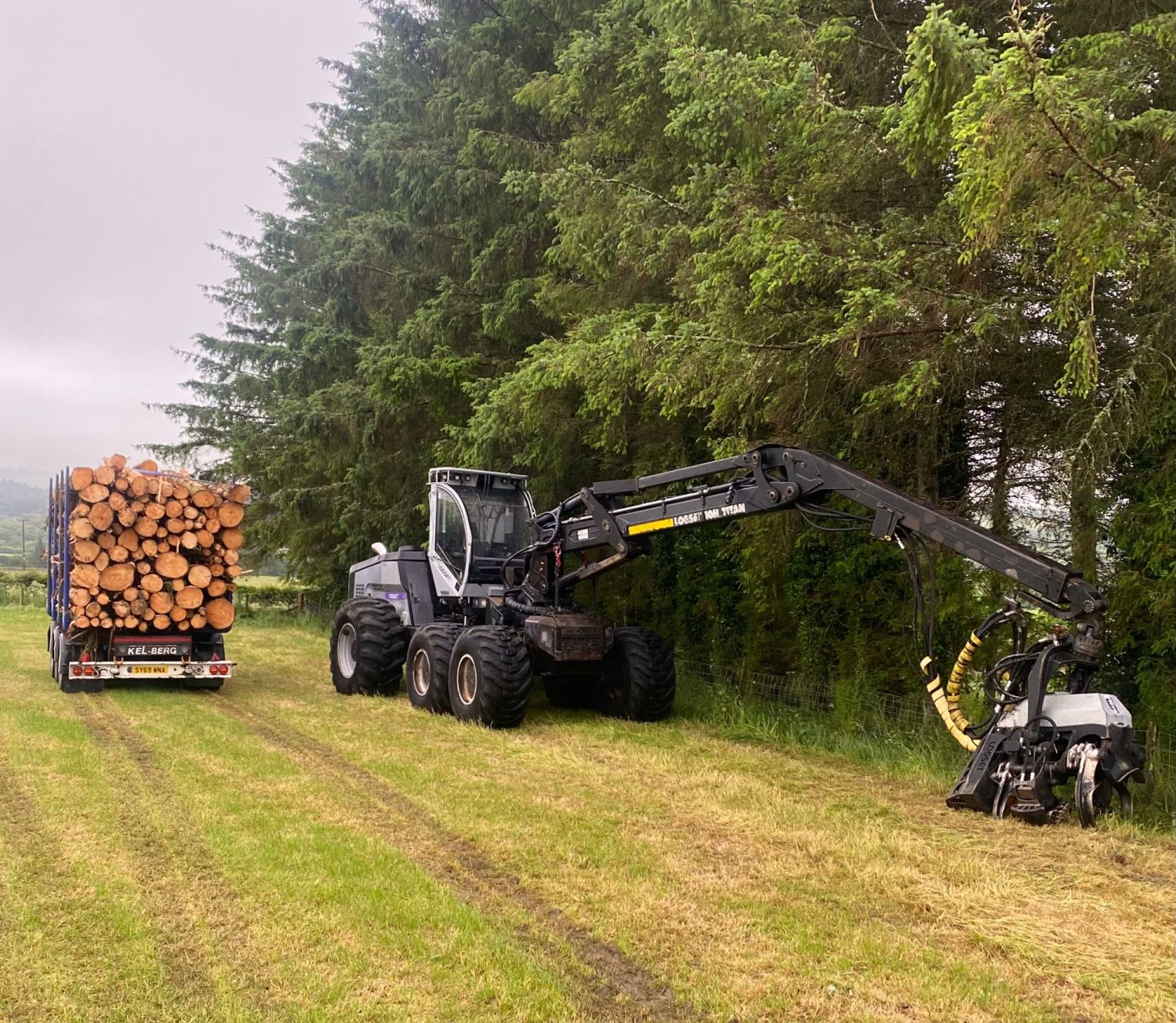 Timber Harvesting services for Scotland, professional and experienced