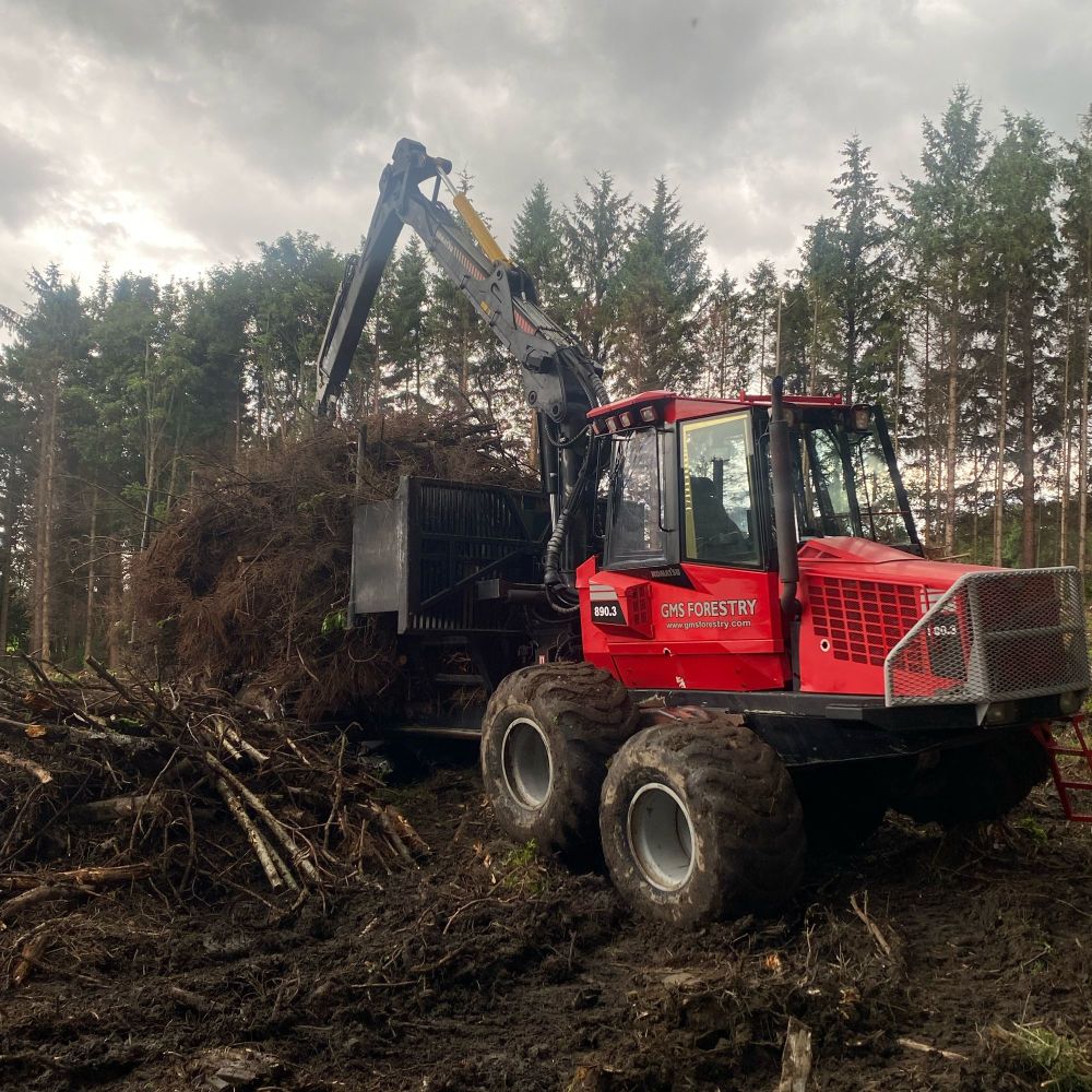 Timber Harvesting services for Scotland, professional and experienced
