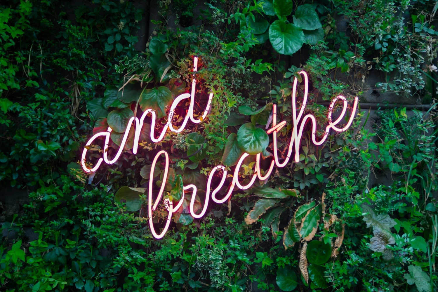What's the Difference Between a Retreat and a Holiday? Recharge ...