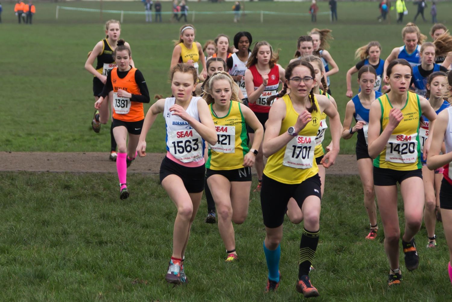 South of England AA Cross Country Championships