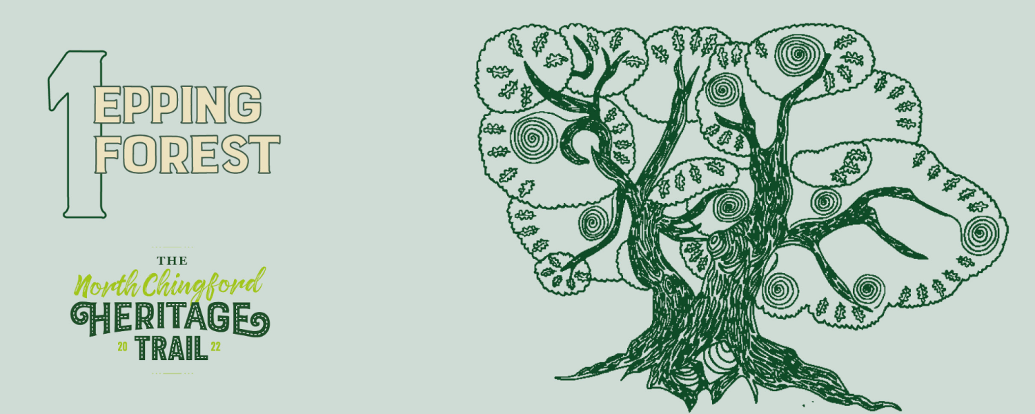 1) Epping Forest