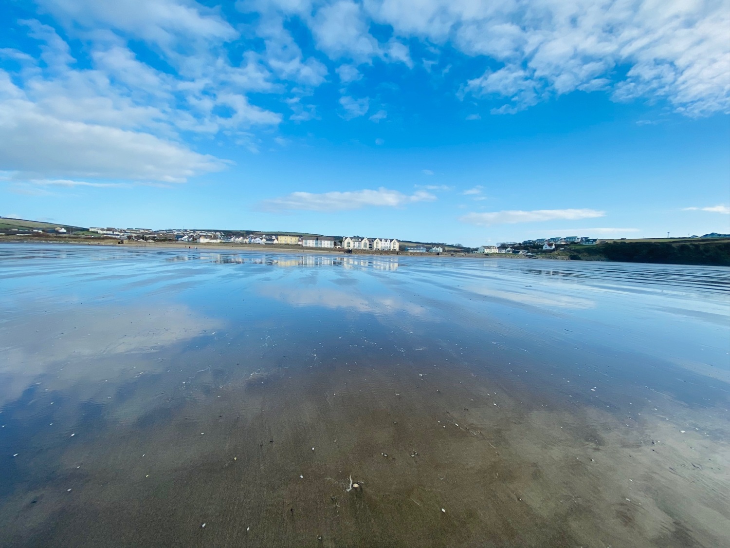 Availability & Prices