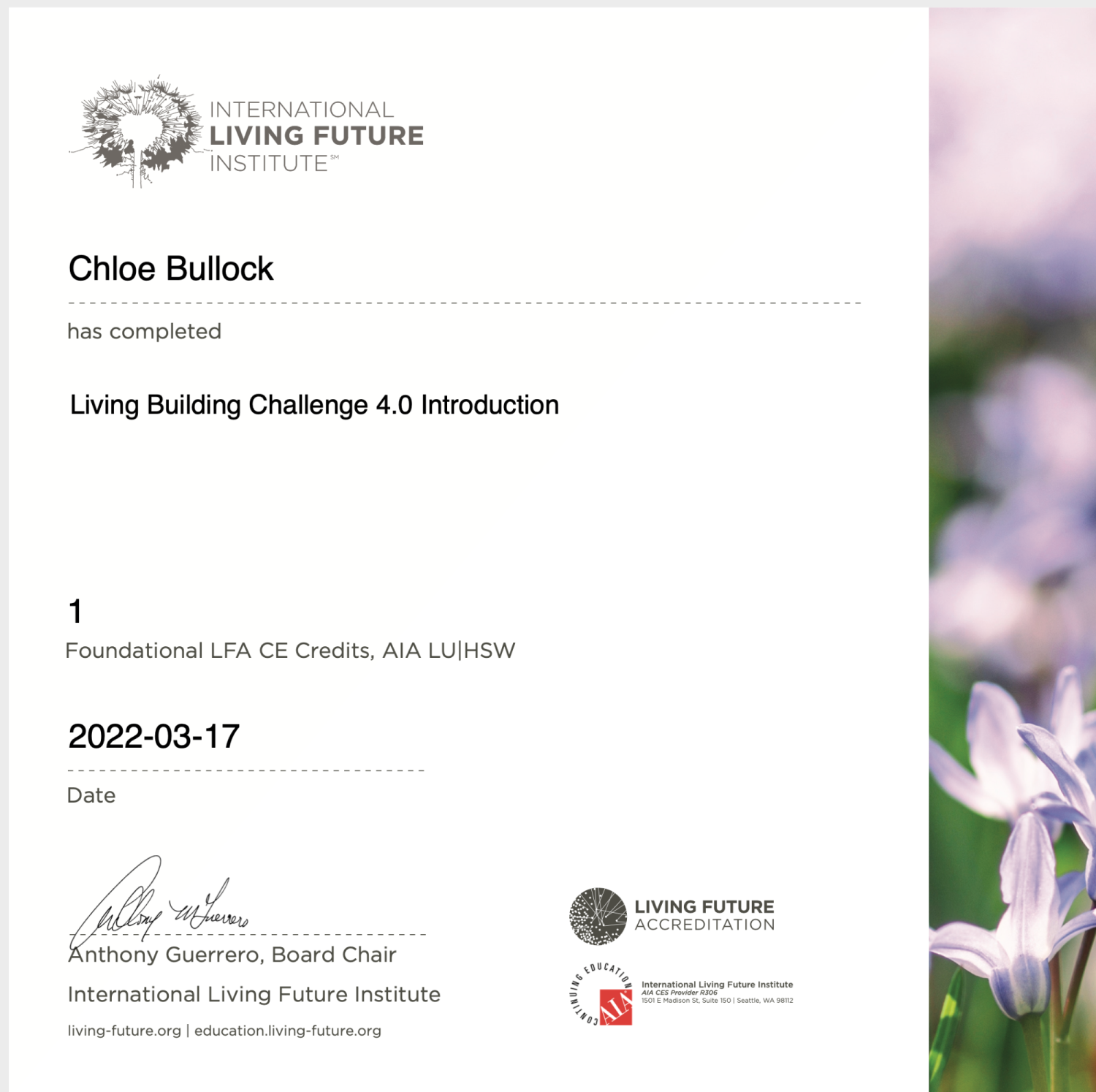 About Chloe | Interior Designer Sussex | Materialise Interiors