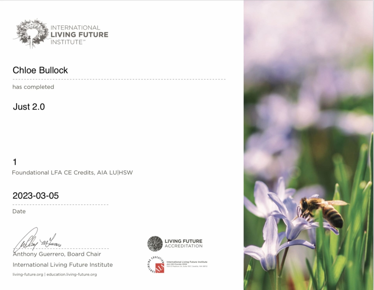 About Chloe | Interior Designer Sussex | Materialise Interiors