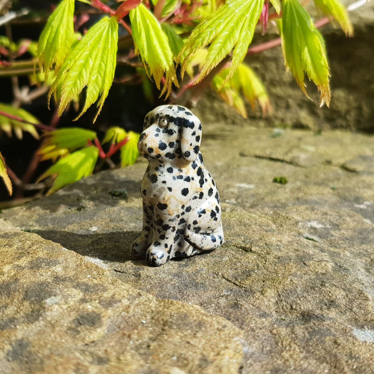 Animal Crystals | Carved rock