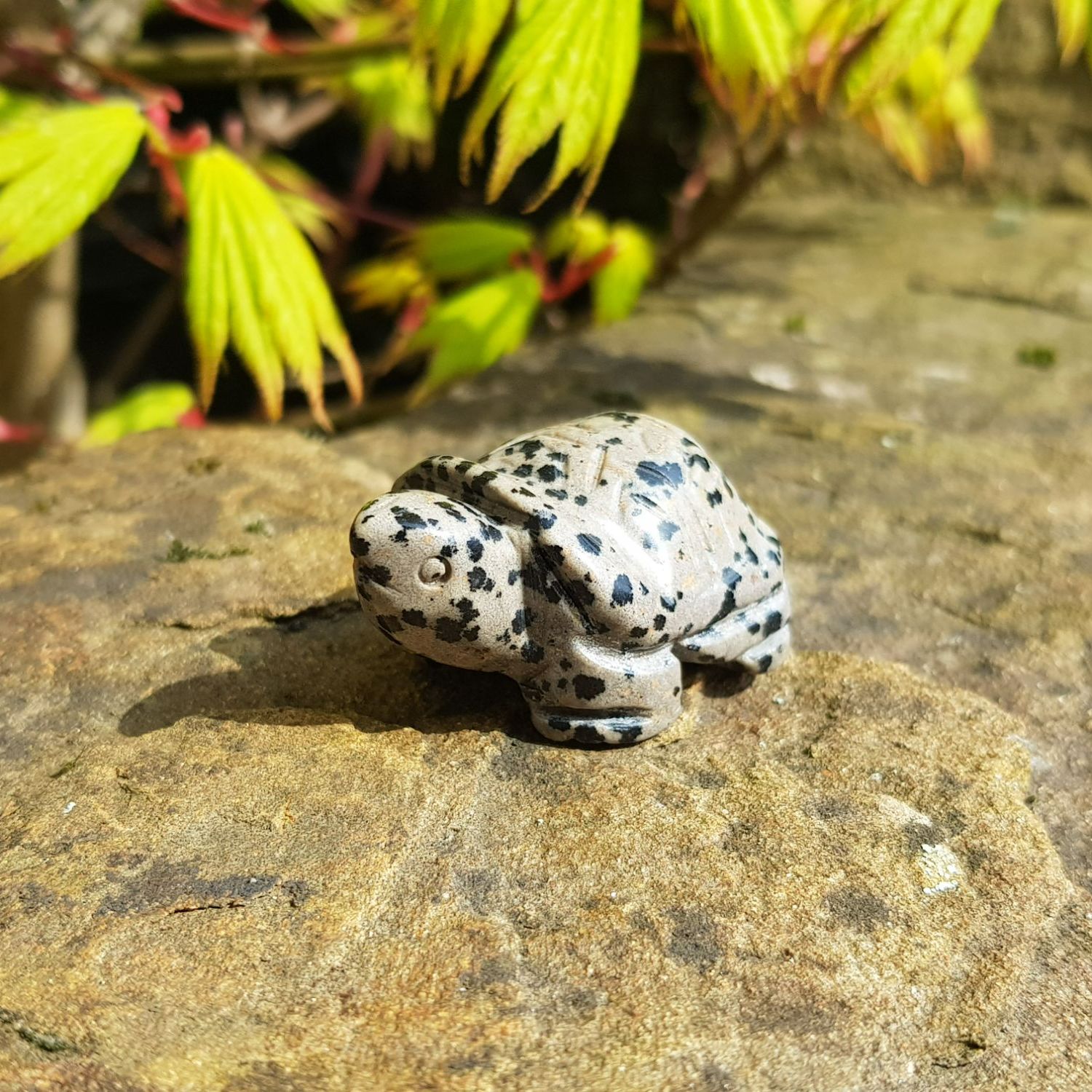 Animal Crystals | Carved rock