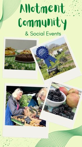 Our Allotment Community