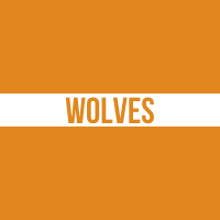 Wolves FC Gifts - Football Prints & Wall Art