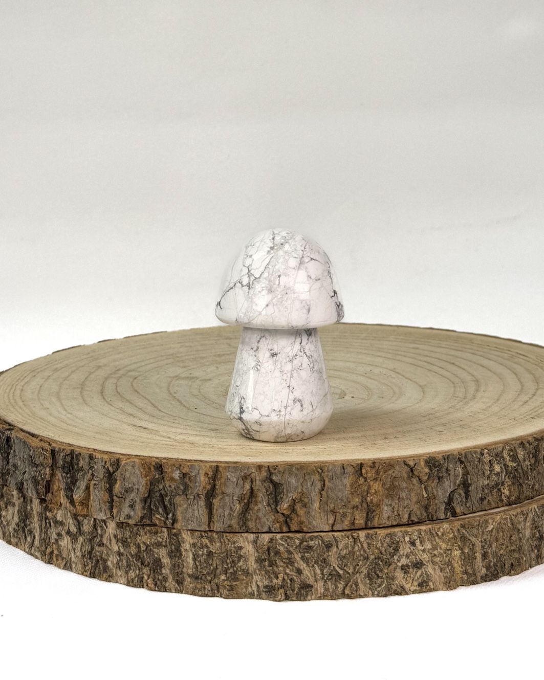 Howlite Mushroom Carving