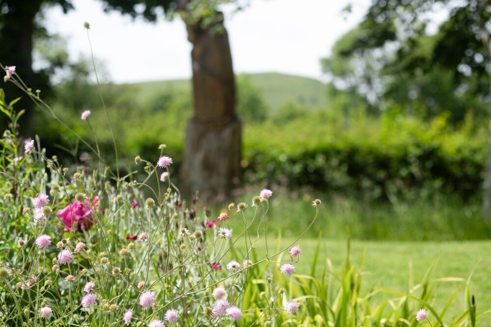 Wern-y-Cwm Farm, Accommodation, sporting retreat venue, corporate or ...